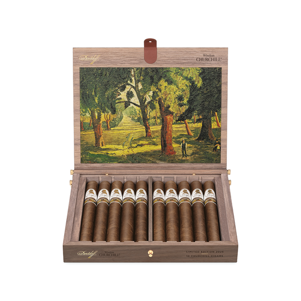 Winston Churchill Limited Edition 2025 - The Artist – Davidoff London